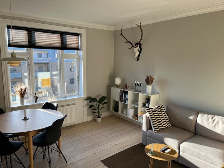 Hyggelig ØSterbro Lejlighed Nær Metro Og Park - Copenhagen