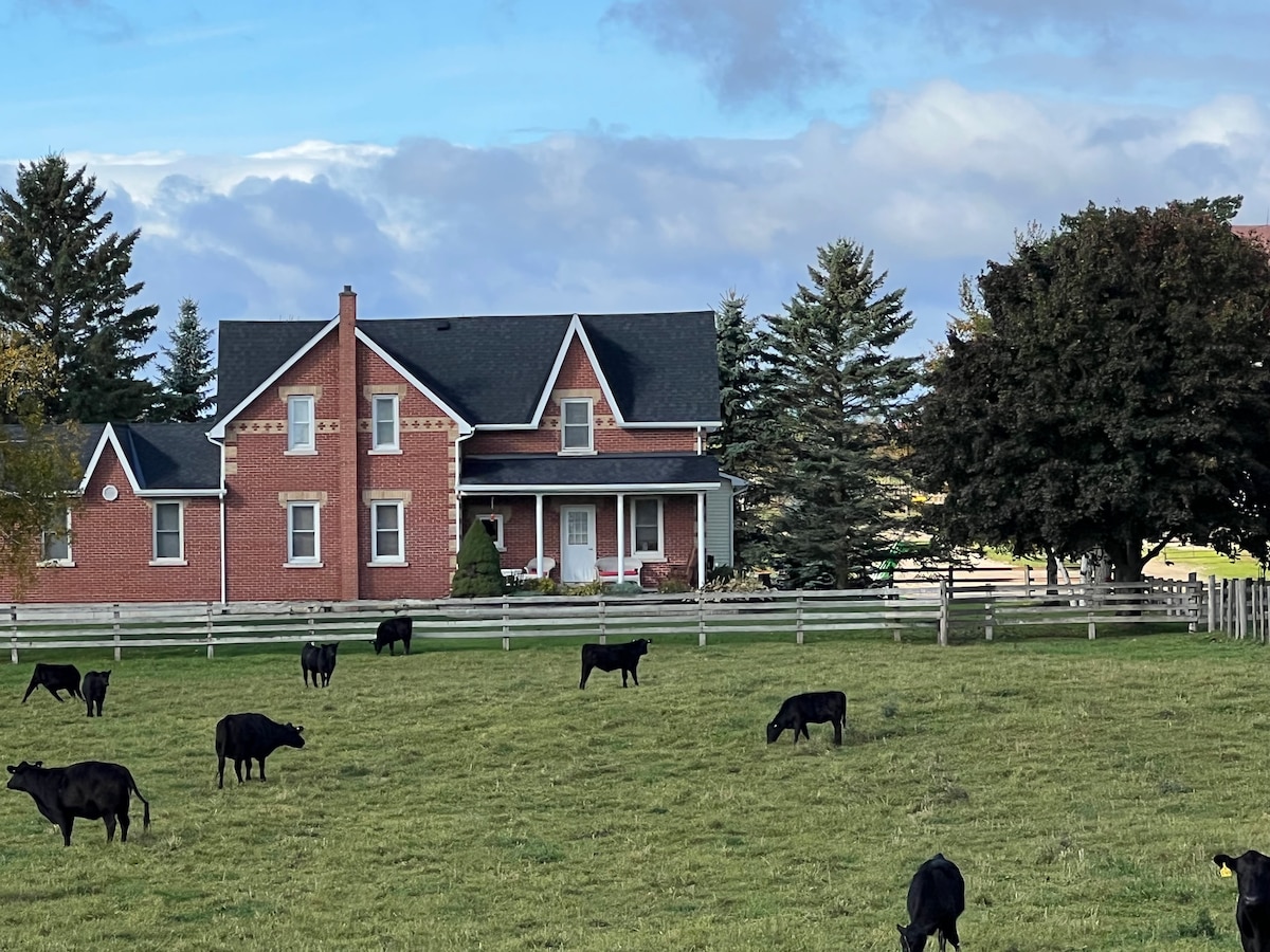 Peaceful & Restful Country Escape on a Family Farm - Airbnb