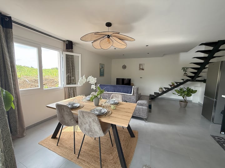 Le Plumeria - Logement N°6 - 45m² - 2 Pers. - Saint-Pierre