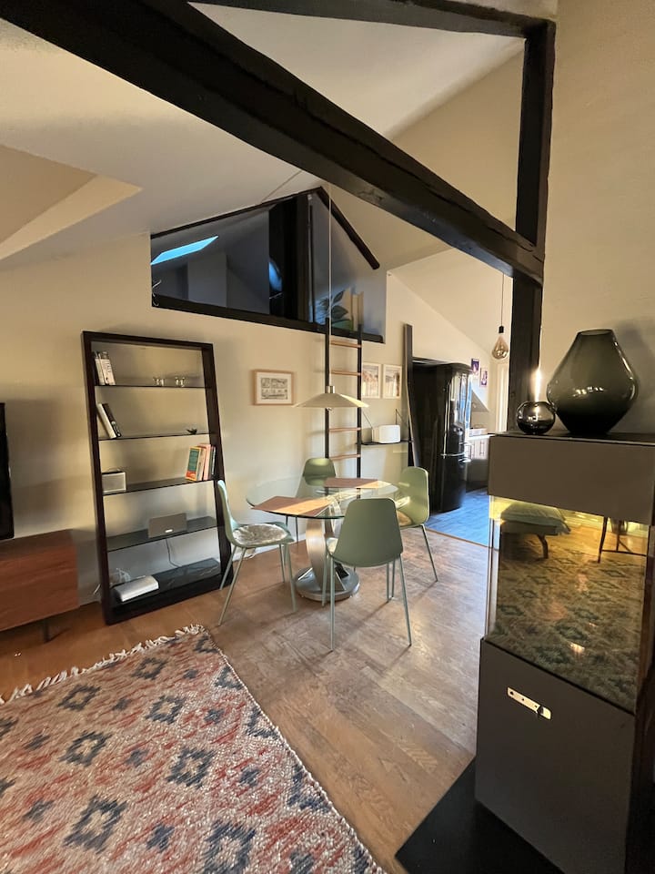 Loft Apartment In St. Hanshaugen - Oslo