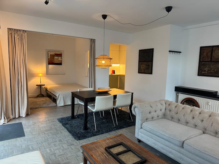 Leuke, Ruime Gelijkvloerse Studio Met Tuin/terras. - Maastricht