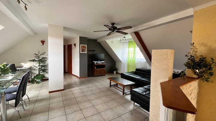 Dans Le Ried, Idéal Pour Tout Visiter - Marckolsheim