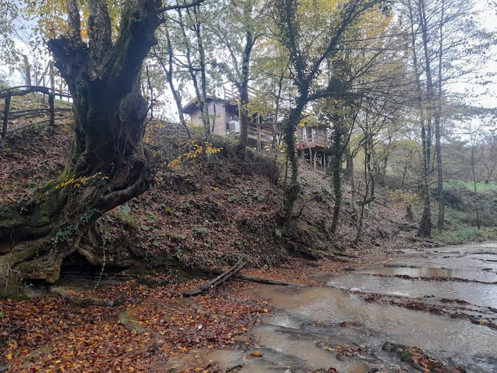 Ağvaya Yakın Dere Kenarında Bungalov - Kutluca