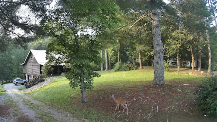 Beaver Creek Cabin - Relax & Enjoy Nature! - Oak Ridge, TN