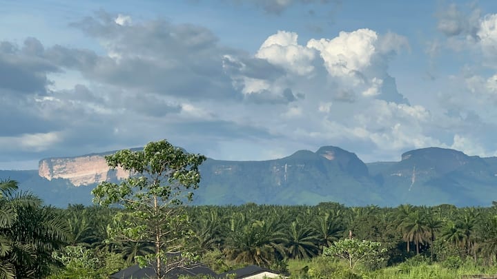 Palm & Pool House - Guinea