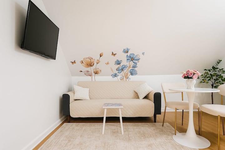 The Barwick Private Apartment/private Bathroom - Westbury, NY