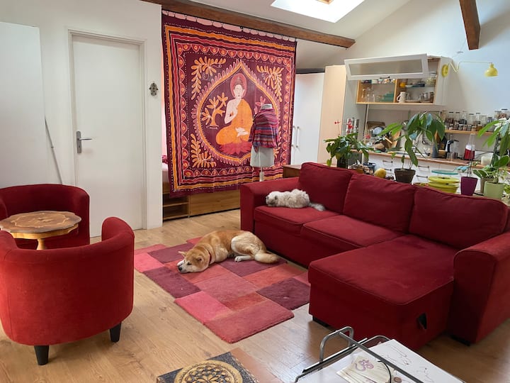 Joli Appartement F1 à Lyon -Villeurbanne - Villeurbanne