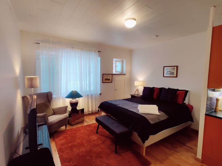 Stylish Flat By Olympic Stadium – 5 Min Center - Helsinki