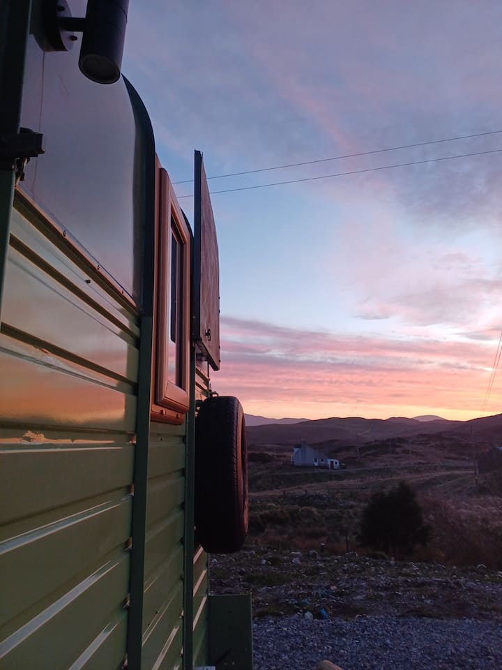 The Wee Horsebox - Lewis