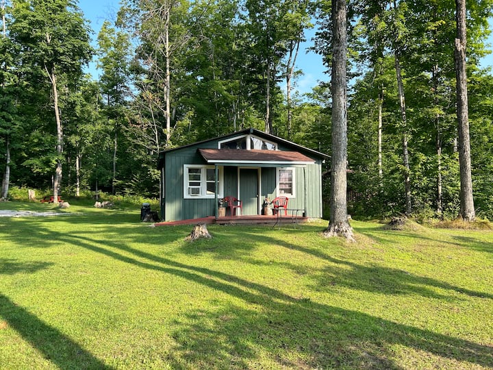 Cozy Little Cabin - Palms Book State Park, Manistique