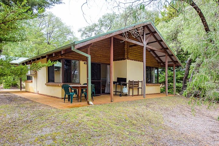 Wiry Wattle - Wyadup Brook Cottages - Yallingup