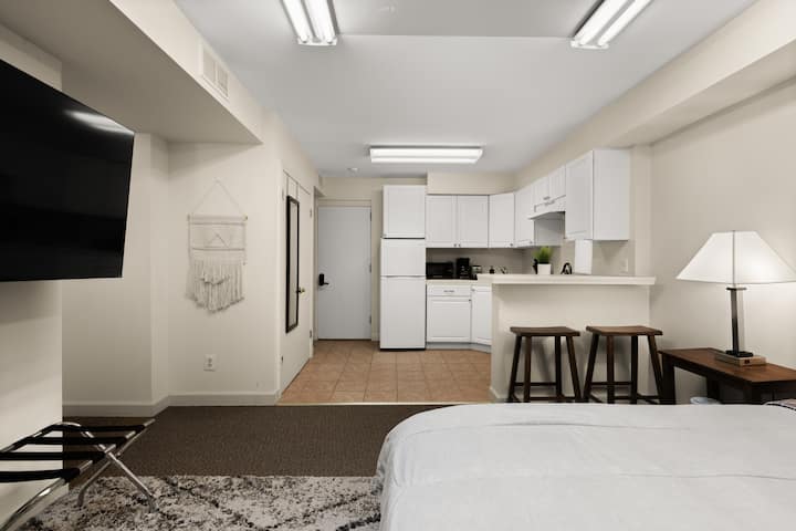 Cozy Modern Studio Near Ravinia W/free Parking - Highland Park, IL