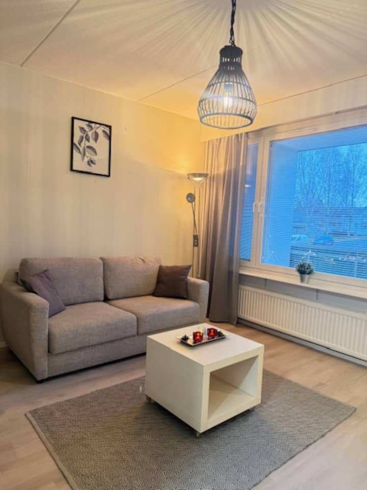 Saunallinen Studio Ristonmaalla - Jyväskylä