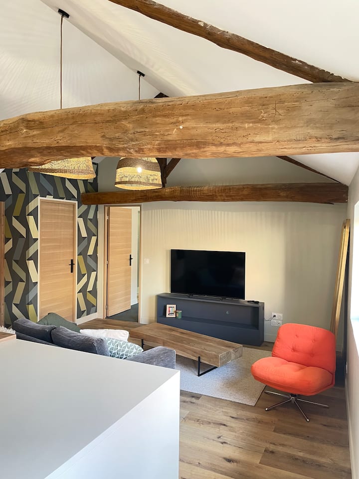 Appartement Chaleureux Et Lumineux - Montauban