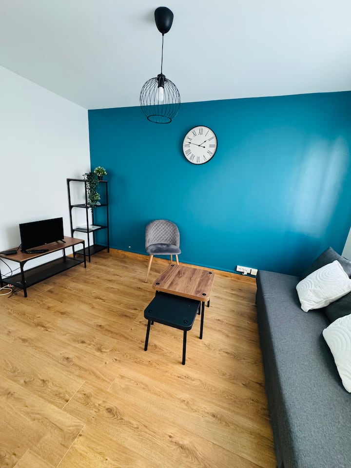 Loire Paisible Orléans - Orléans