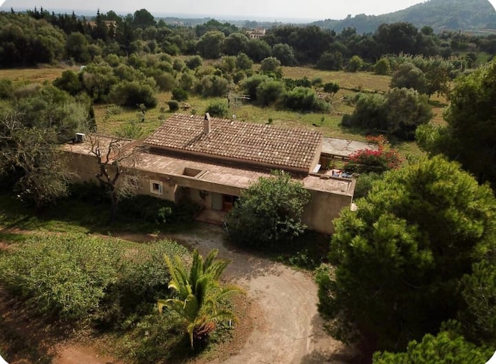 Casa De Campo Mallorquina Con Mucho Encanto - Cala Bona
