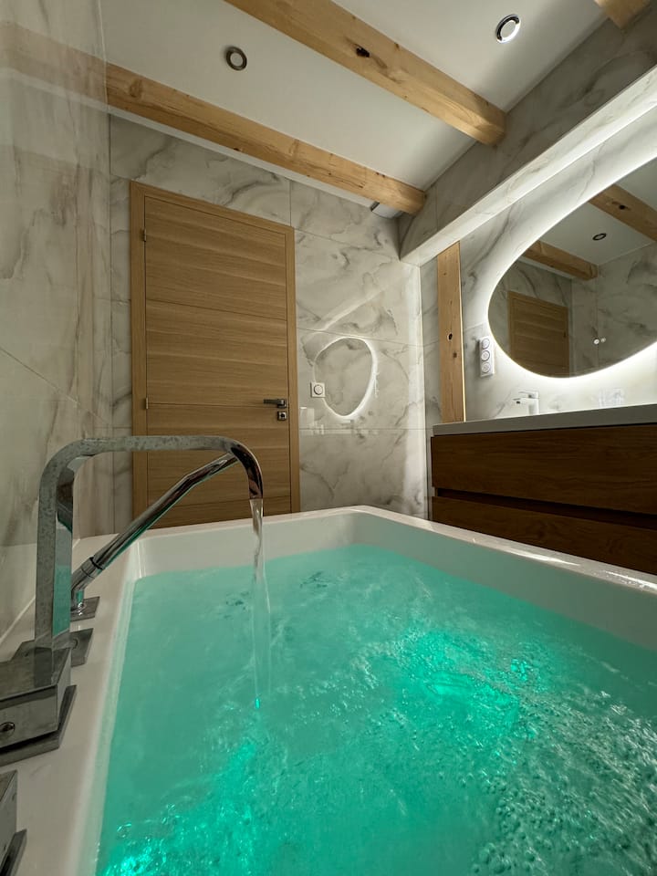 Villa Segny Chalet - Ferney-Voltaire