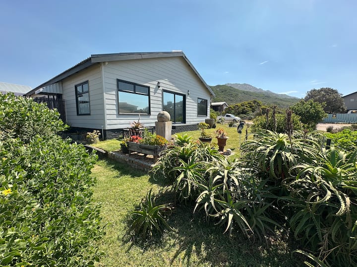 Senecio Haven - Pringle Bay