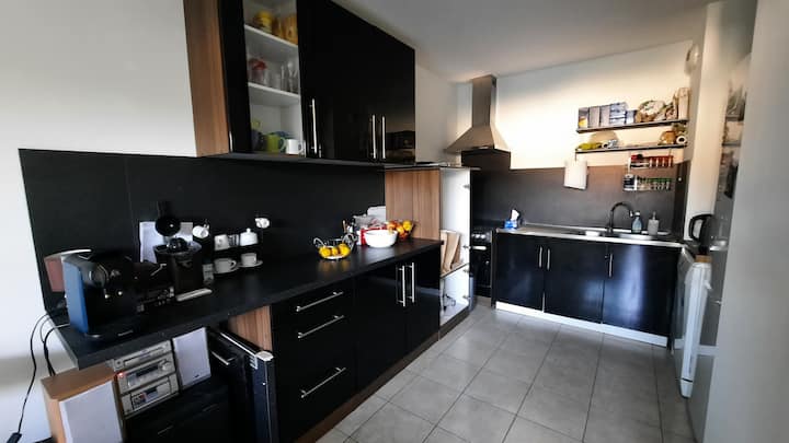 Beau T3 Près Du Centre, Commerces, Des Bus Et Parc - Ferney-Voltaire