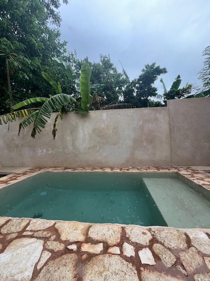 Experience Of A Home, In An Authentic Neighborhood - Valladolid, México