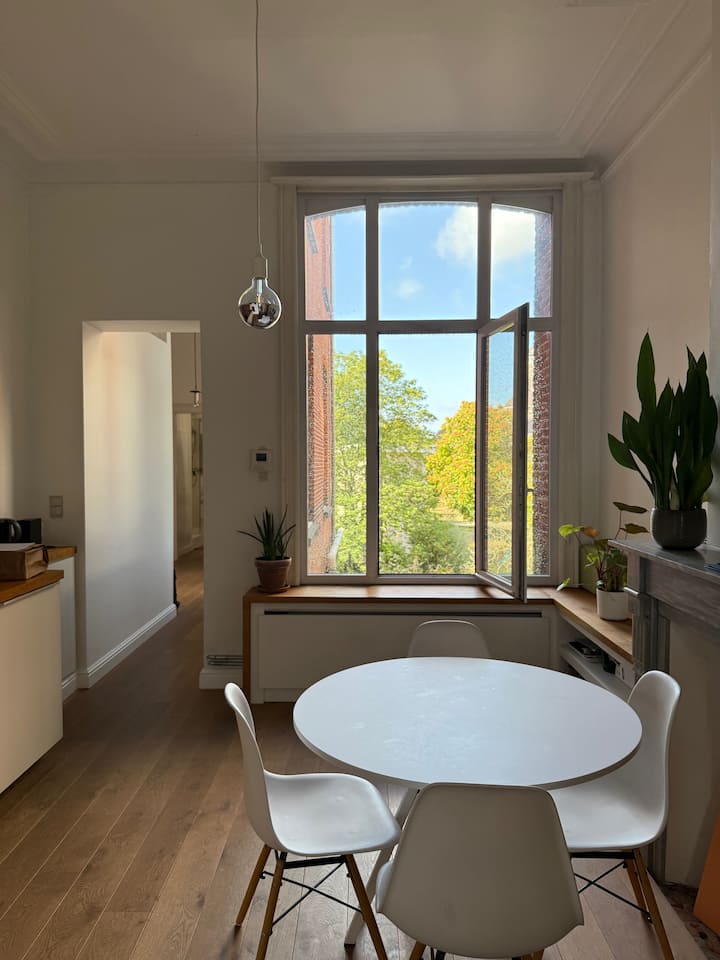 Ruim Art Nouveau Appartement - Anvers