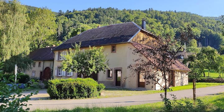 Appartement Dans Une Ferme Entre Alsace Et Vosges - Alsace