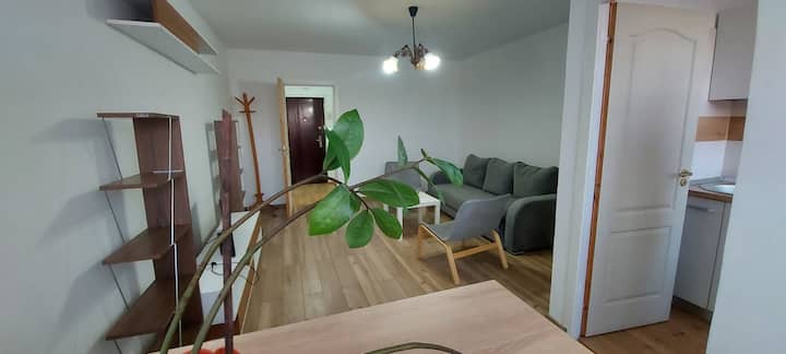 Garsoniera Regim Hotelier - Craiova