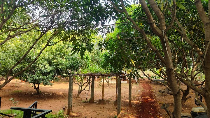 Serene Homestay - Badami