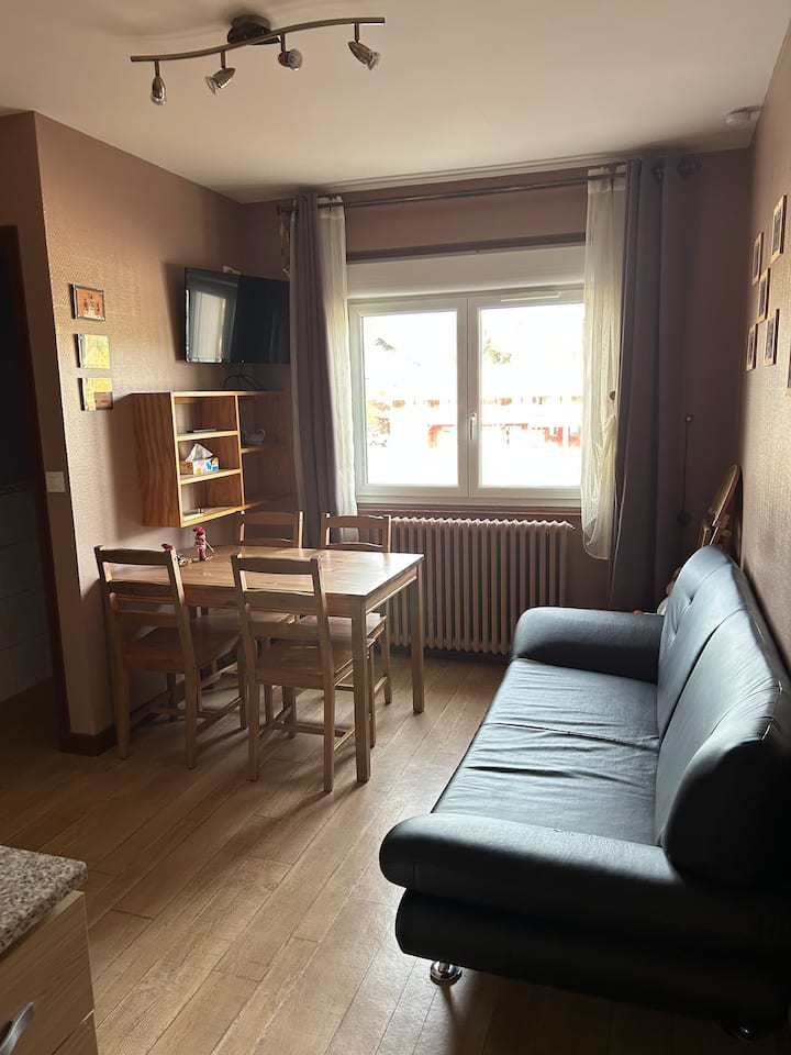 Appartement Pied Des Pistes - La Bresse