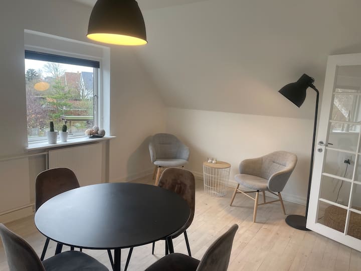 Bright Well Appointed Centrally Located Apartment - Odense
