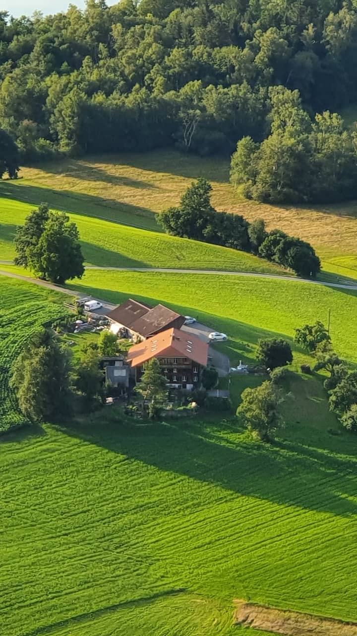 Appartement Unique, Vue Lac & Nature - Thun