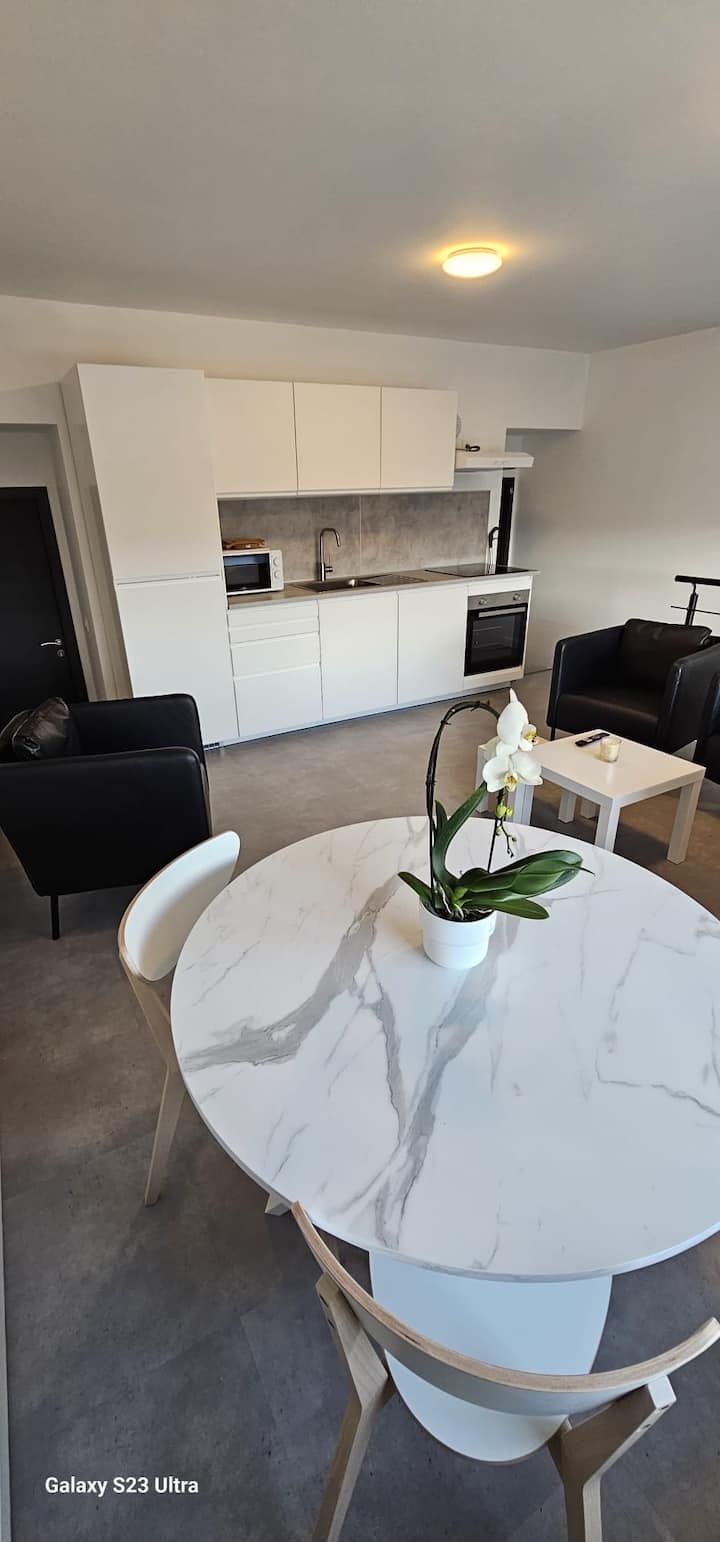 Chambre Meublée Gare Hettangeluxembourg Frontalier - Thionville