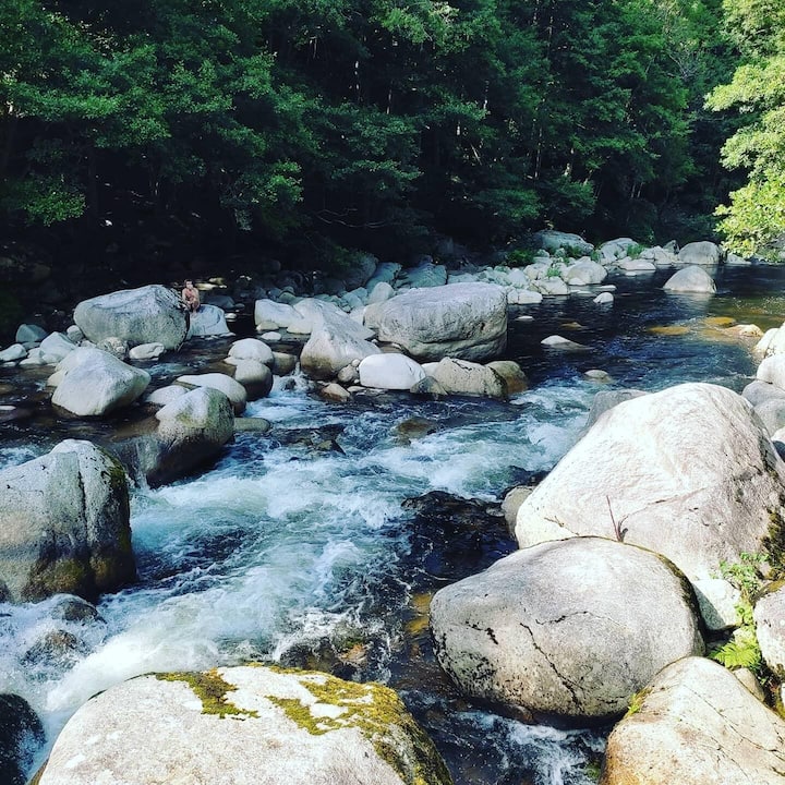 Ferienwohnung – Wald Living - Baiersbronn