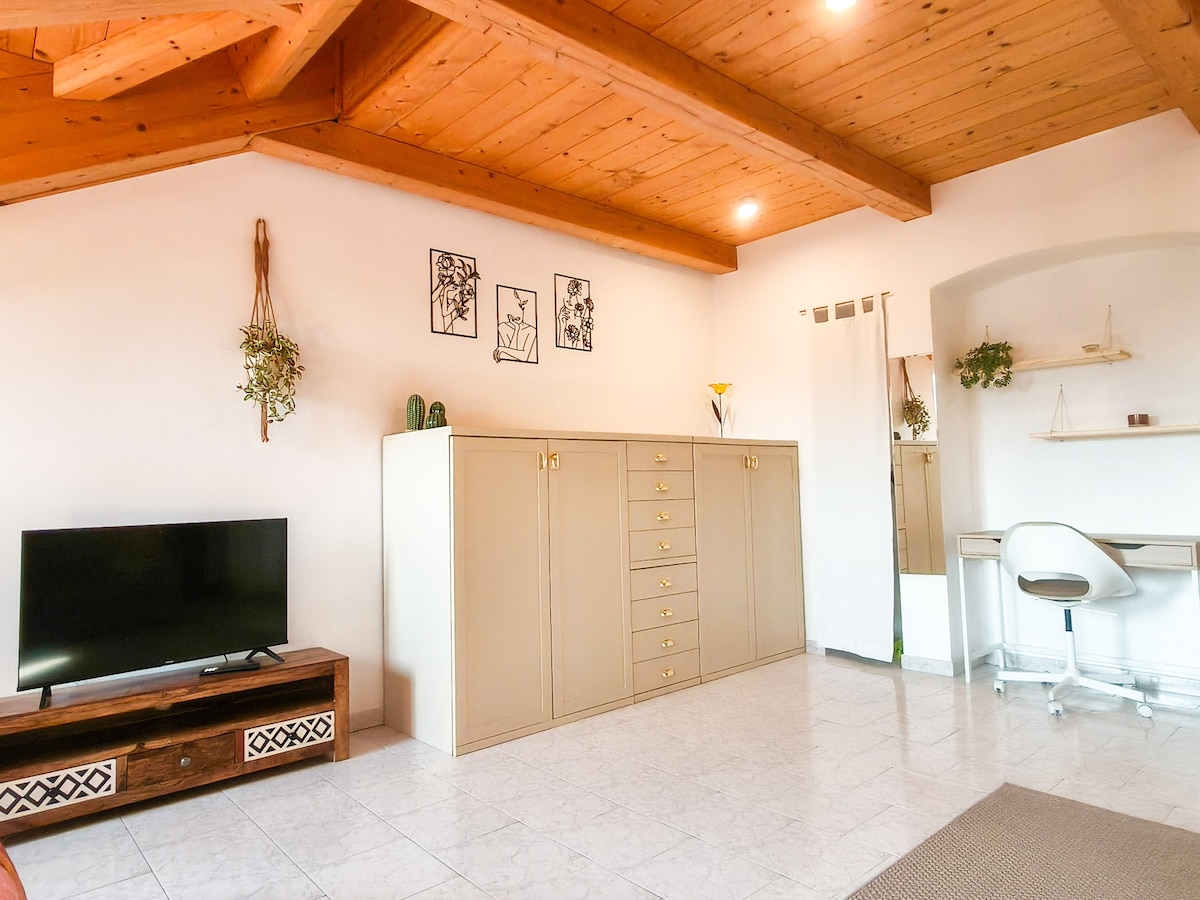 Mole's House [In downtown Turin] - Airbnb