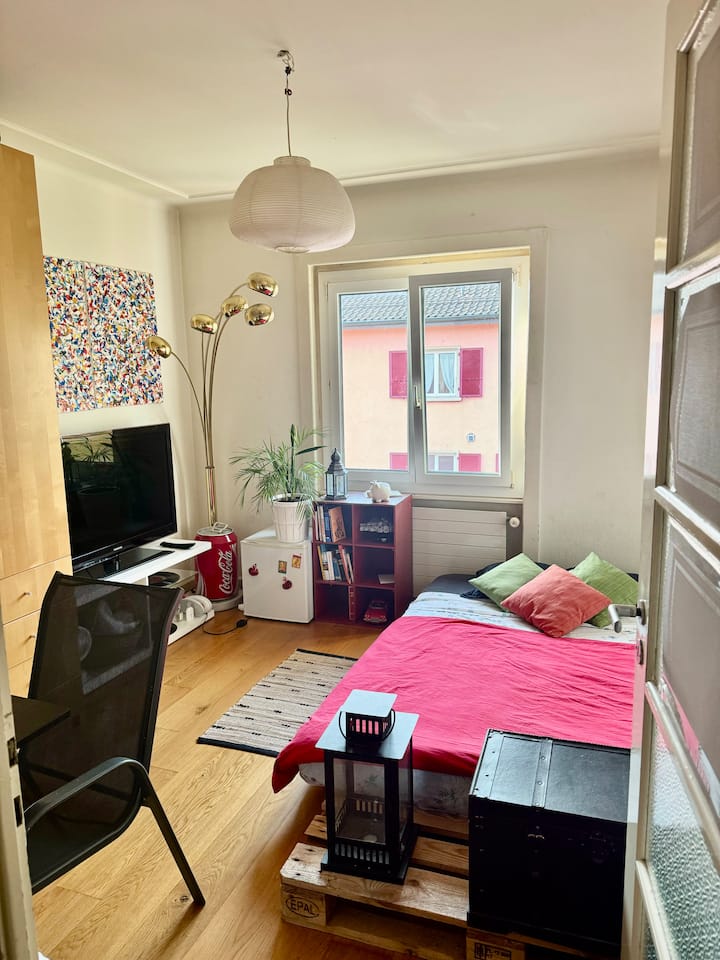 Bonita Habitacion Doble Con Vistas Al Gran Lago. - Crissier