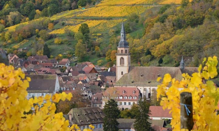Chambre Au Cœur Du Vignoble Alsacien - Obernai