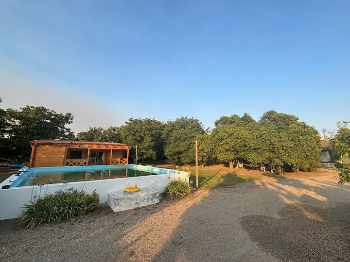 Tagus Brown Villa, Santarém, Portugal - Cartaxo