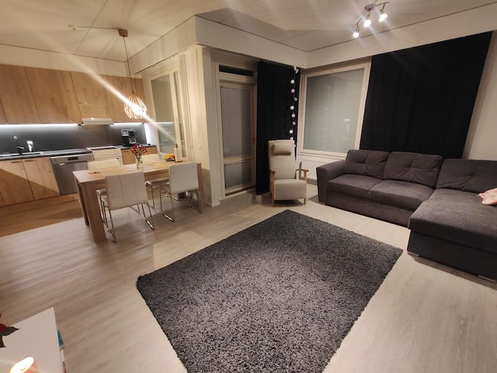 Kaksio Samulinniemessä - Toivakka