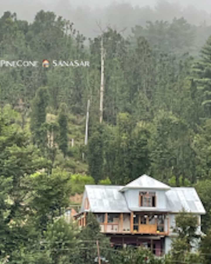 Pinecone Sanasar - Patnitop