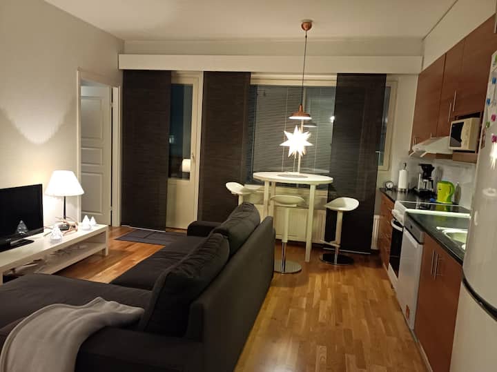 Top Floor Home With Sauna In City Center - ロヴァニエミ