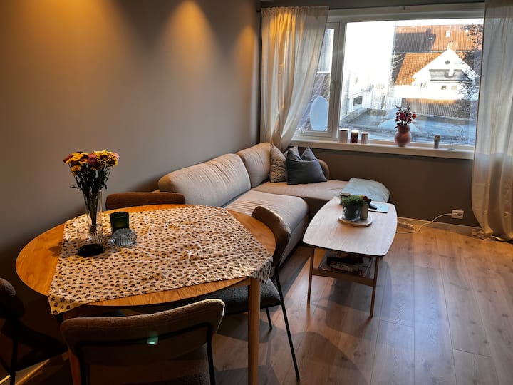 Midt I Sentrum! Moderne 1-roms Med Sovesofa. - Kristiansand