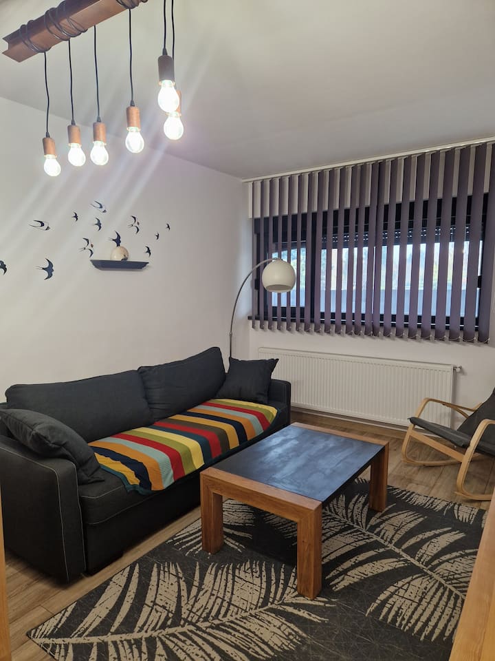 Apartament Central Sala Polivalenta Ciuperca - Craiova