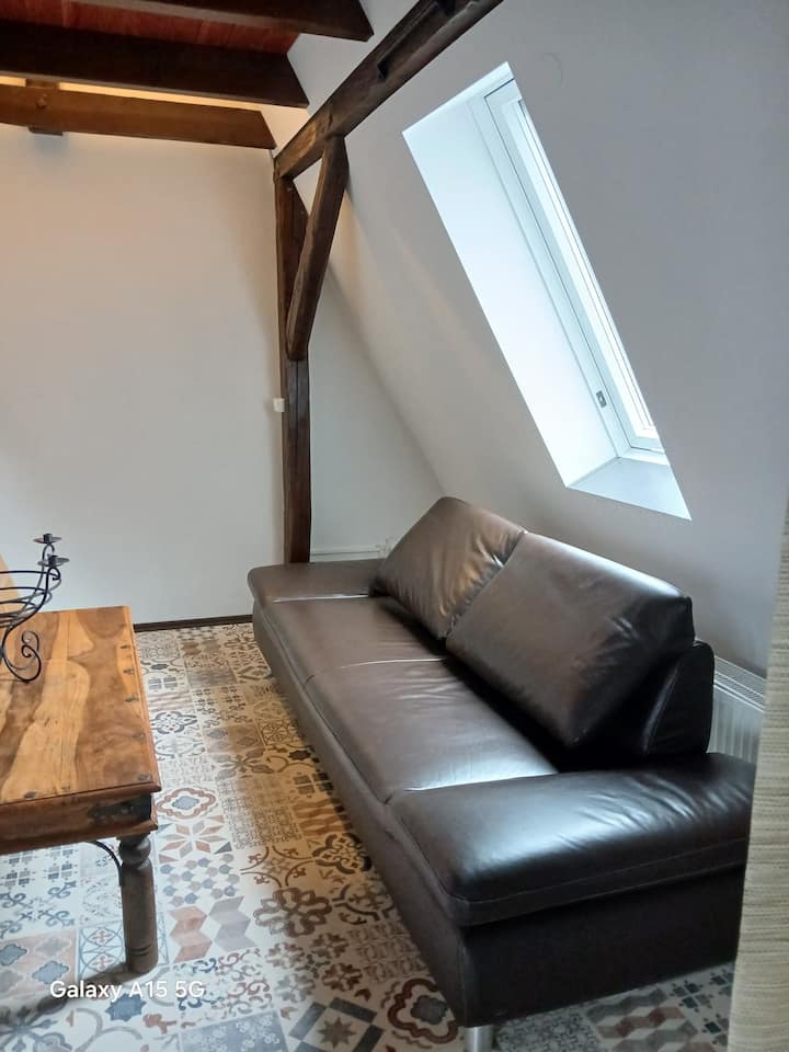 Appartement Im Bielefelder Westen Am Oetkerpark - Bielefeld