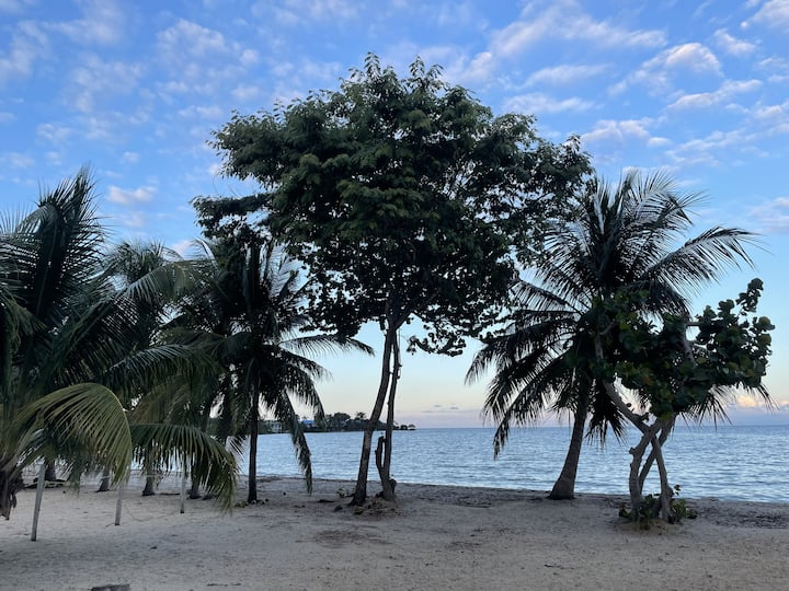 Paradise Shores In Placencia Belize - Placencia
