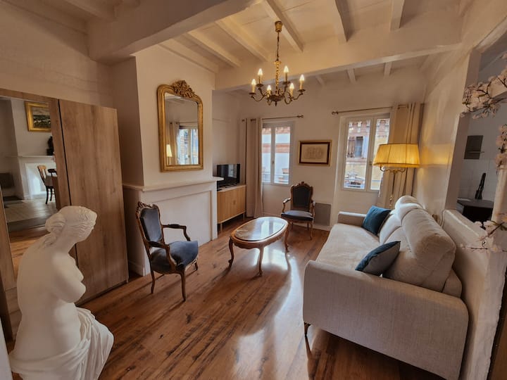 La Vue Du Cloître Saint-salvy - Albi