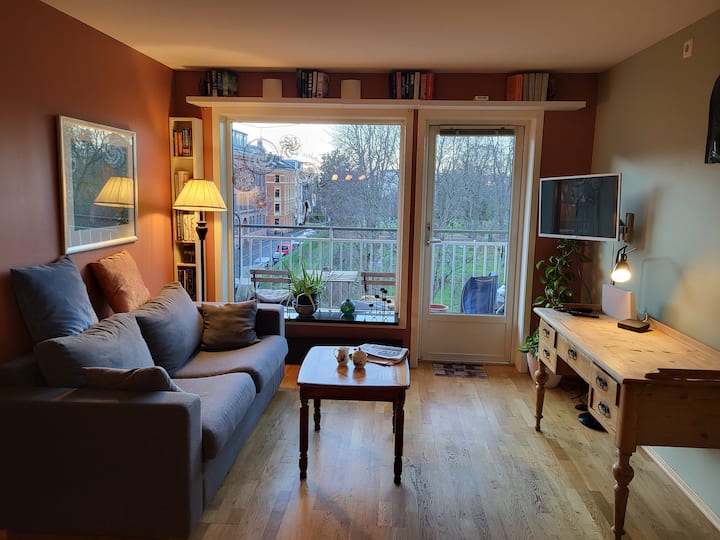 Rolig 2-roms Sentralt I Oslo - Oslo