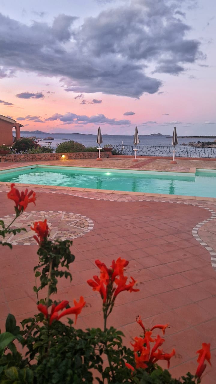 Monolocale Bonsai Marineledda Con Piscina - Golfo Aranci