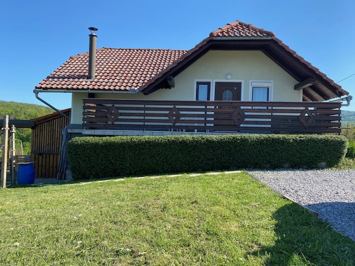 Vineyard Cottage Veliki Rigelj - Dolenjske Toplice