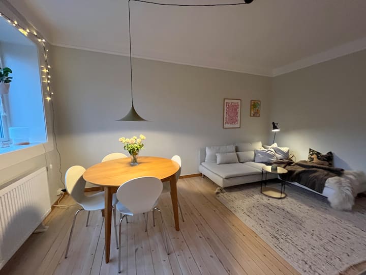 Koselig Leilighet - Sentral Plassering - Oslo