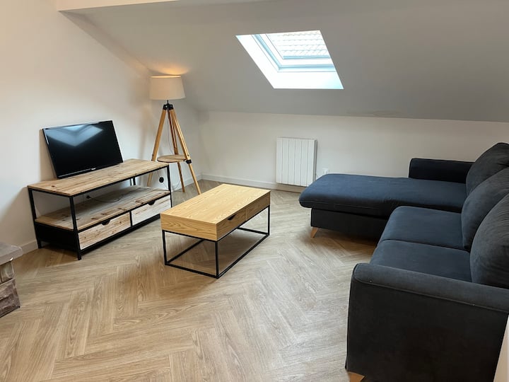 L’indus Loft - Sarreguemines